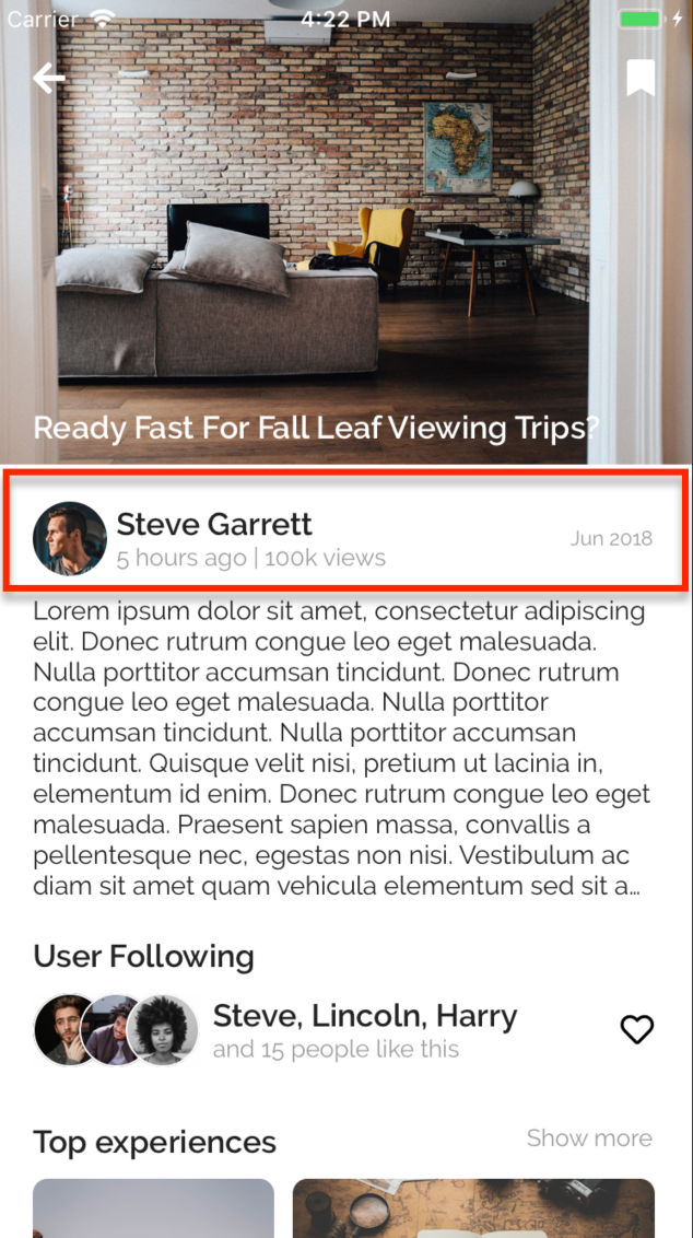 ProfileAuthor – Passion UI